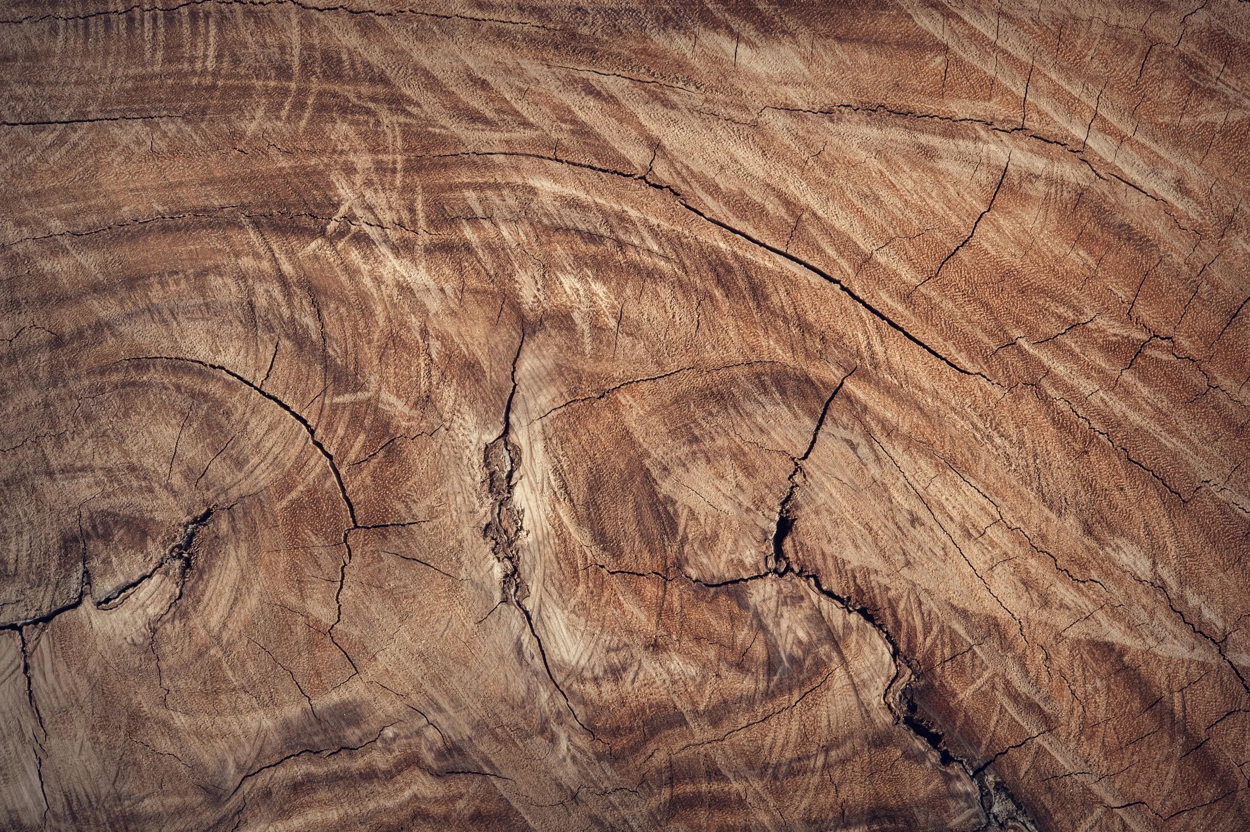 Woodforest Furniture | Discover Amish Home Furnishings
