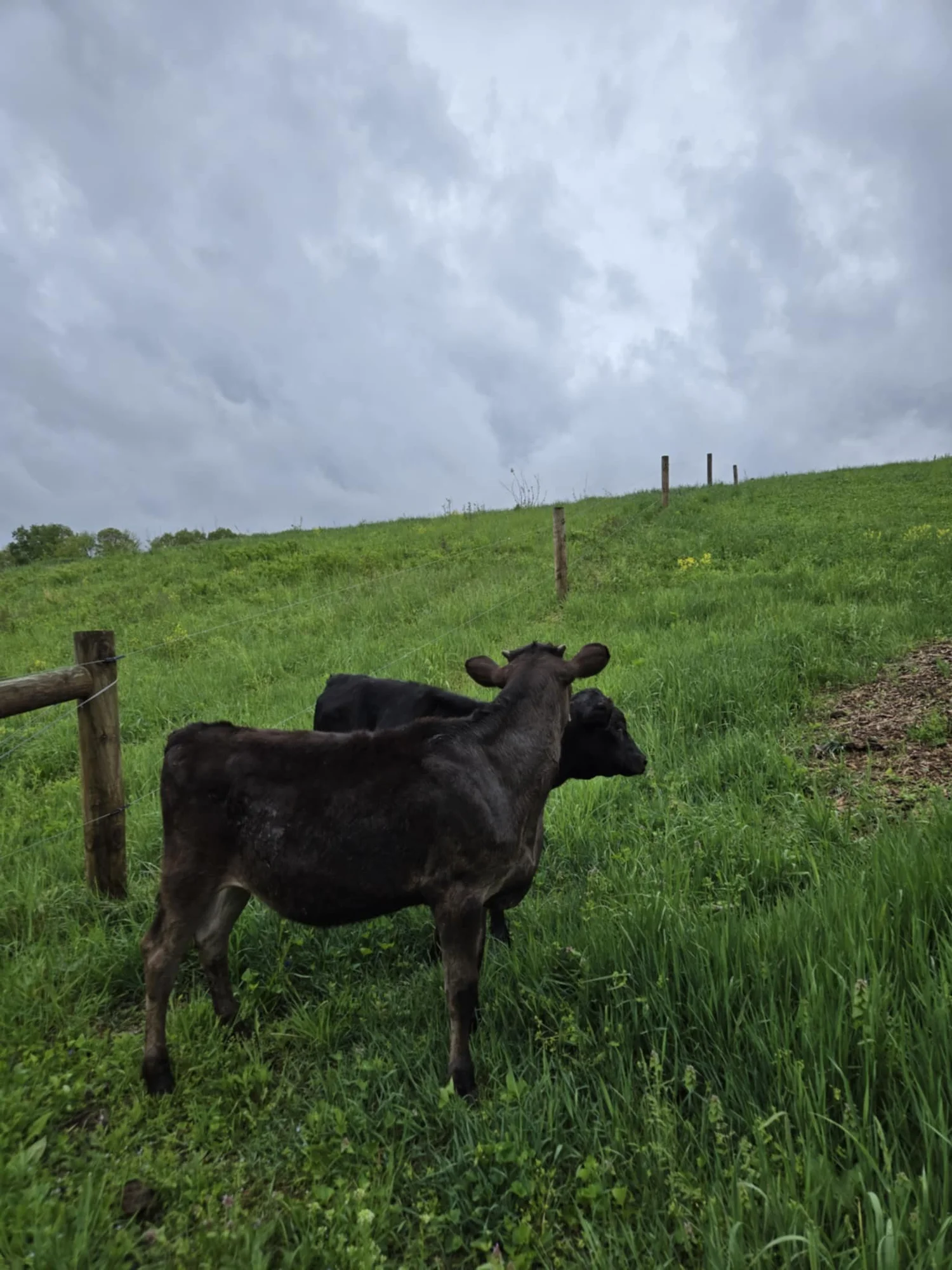 Welcome to Honey Brook Farm