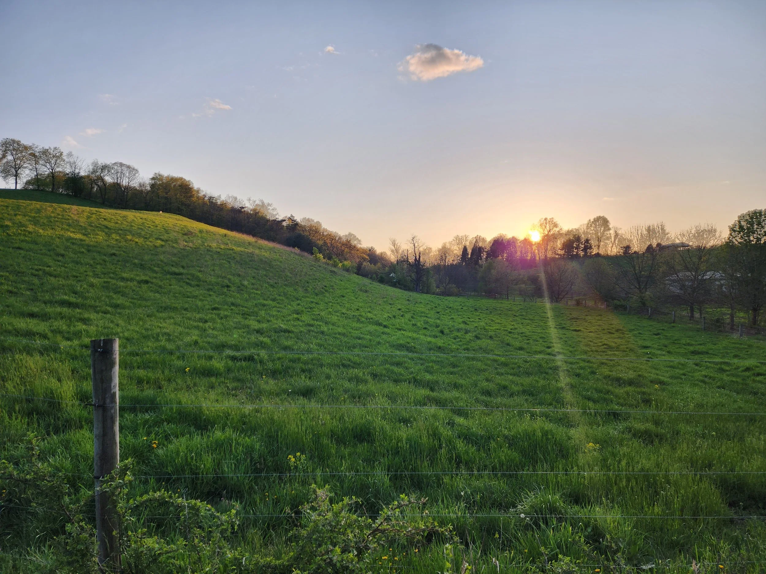 Welcome to Honey Brook Farm