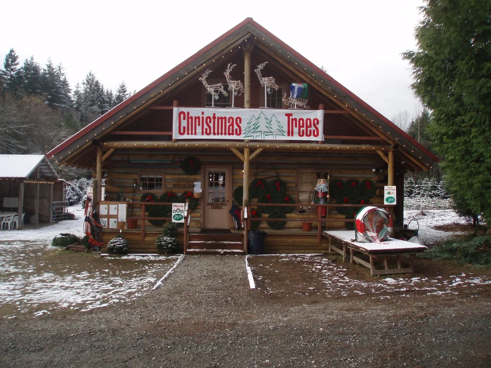 Trinity Tree Farm is a Christmas tree farm in Issaquah, WA | U-cut ...