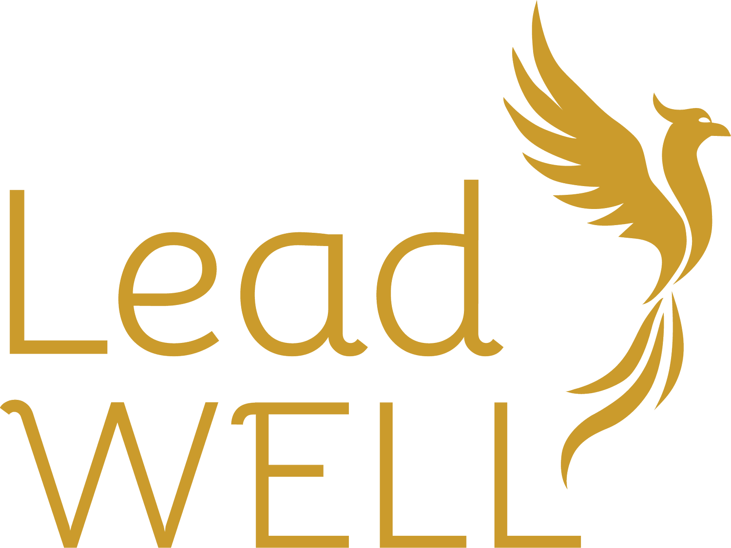 The Hidden Power of Awareness in Leadership — LeadWell Evolution