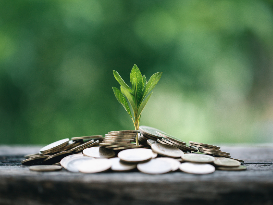 New Money CD Promo | Novo Federal Credit Union