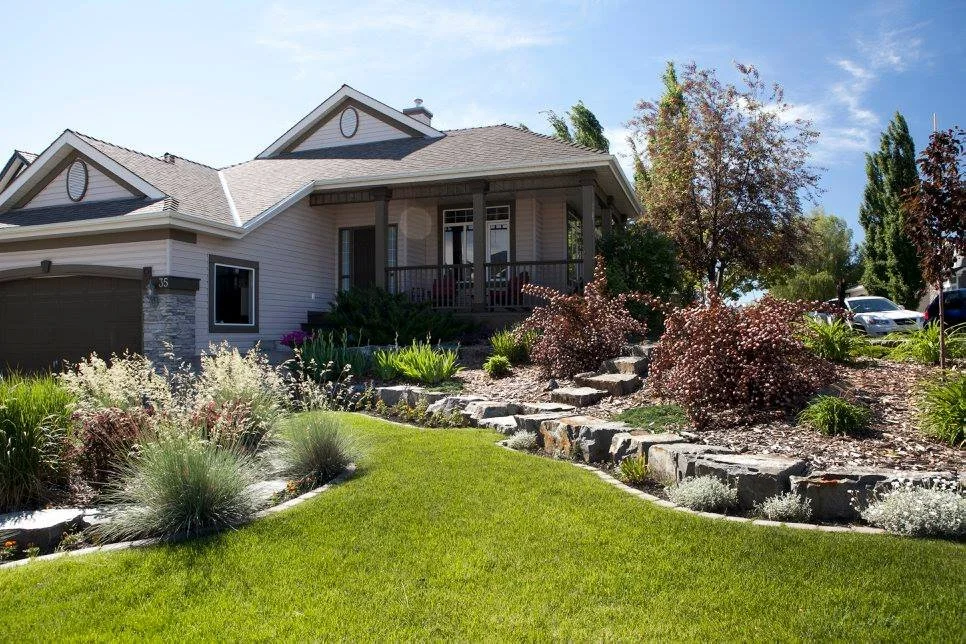 Solid Landscape Construction & Design