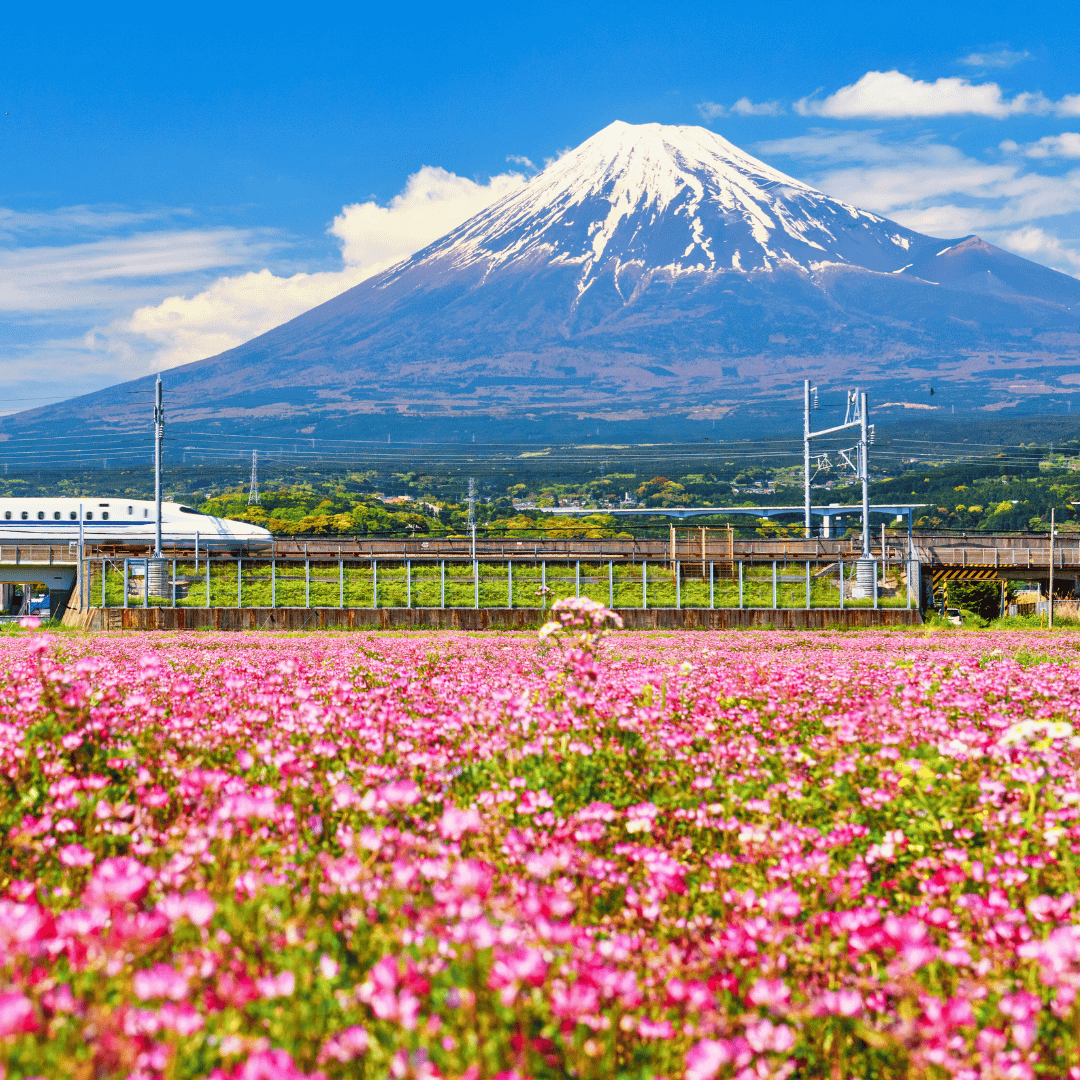 Japan Tours 2026/2027 | Private Tailor-Made Travel From Australia ...
