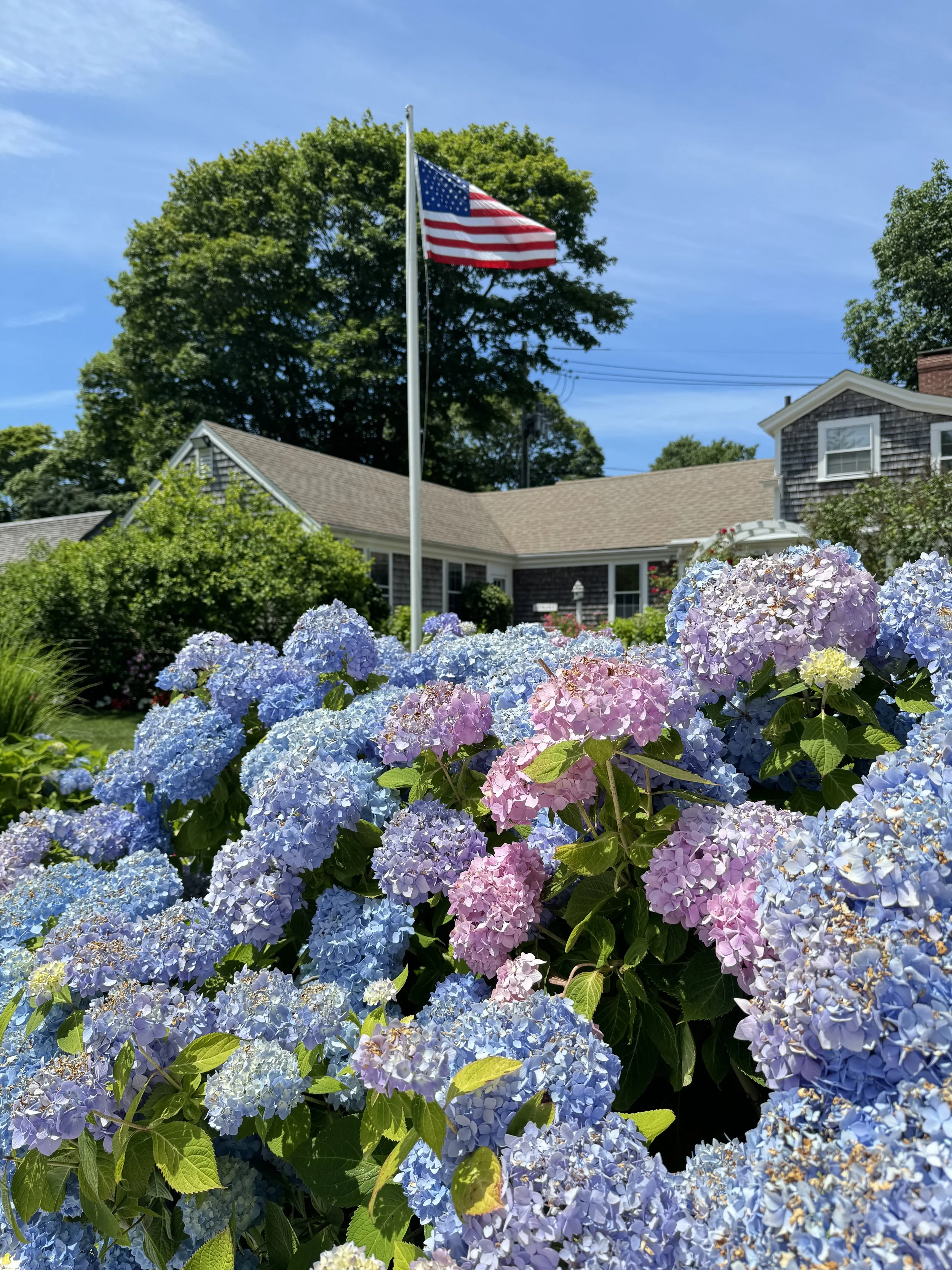 Discover Osterville | Explore Cape Cod History — Plan Your Visit
