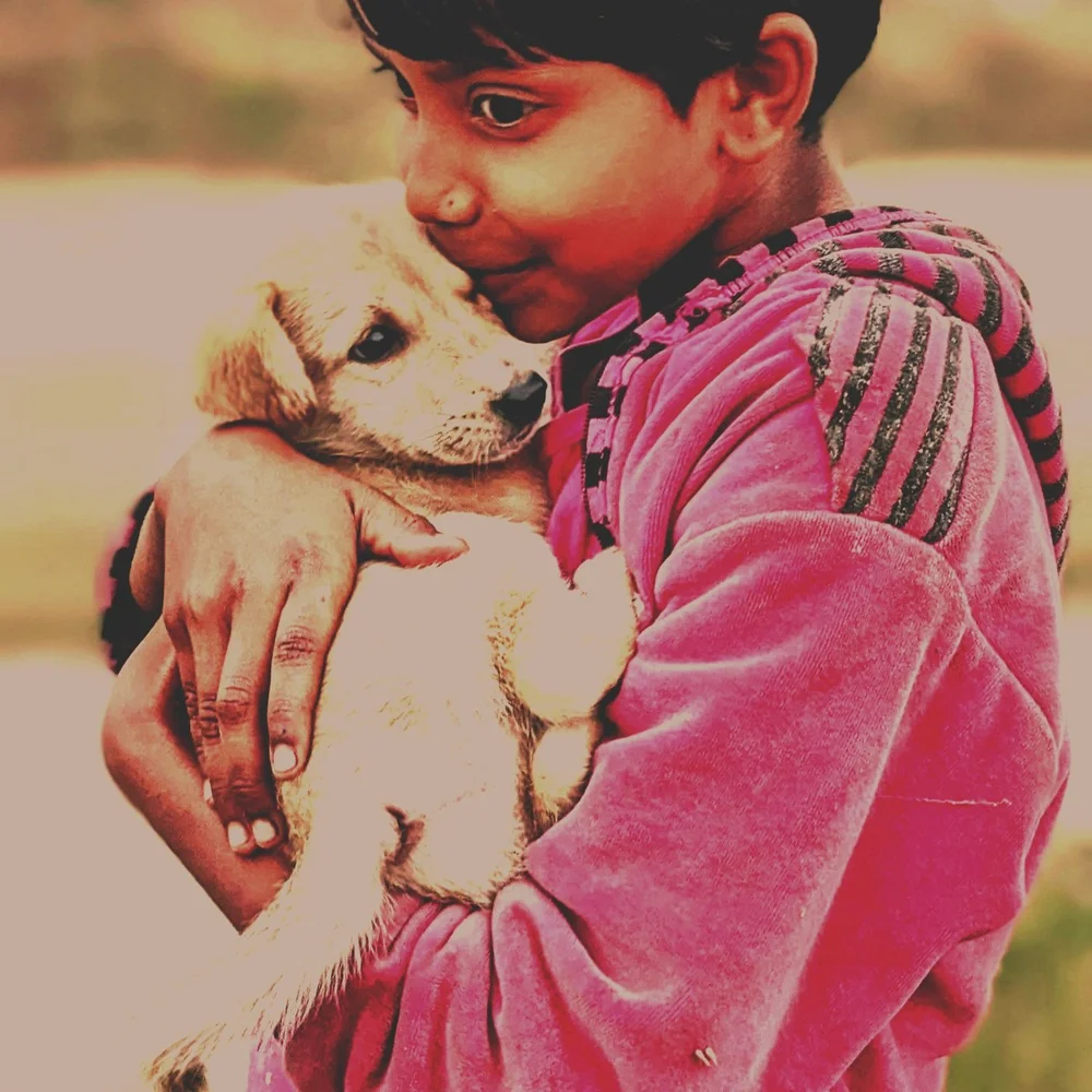 Adoption | Find Your New Pet — Adopt Today — Northumberland Humane Society