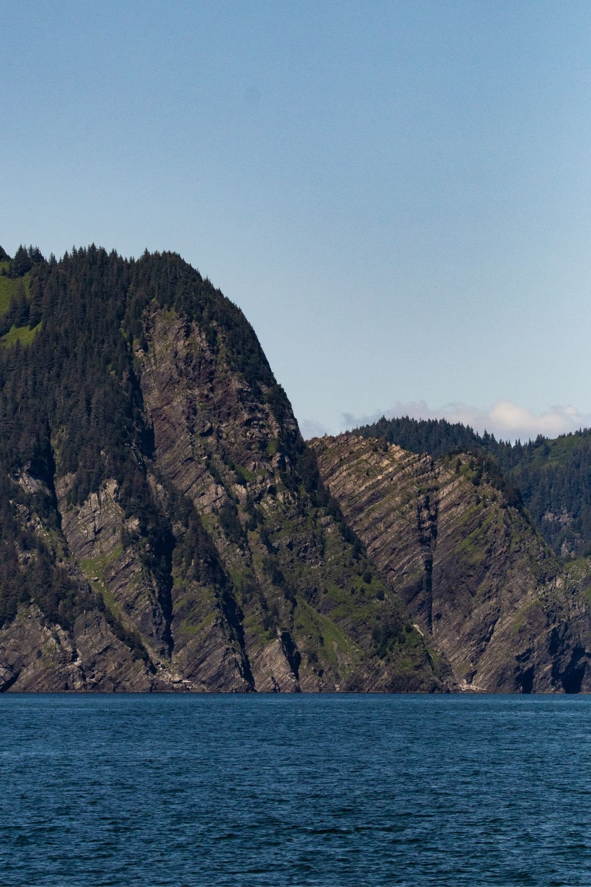 Puffin in Seward | Explore Puffin Art – Shop Now — Orchard Muse Artistry