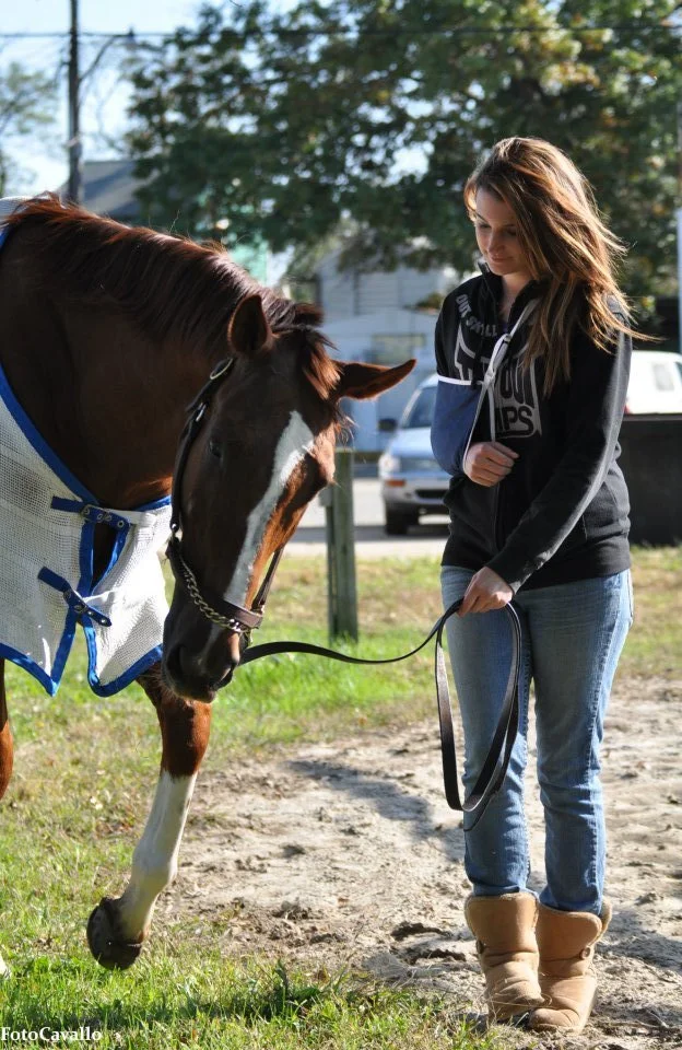 About the Artist | Explore Artistic Inspiration — Join Now — Orchard ...