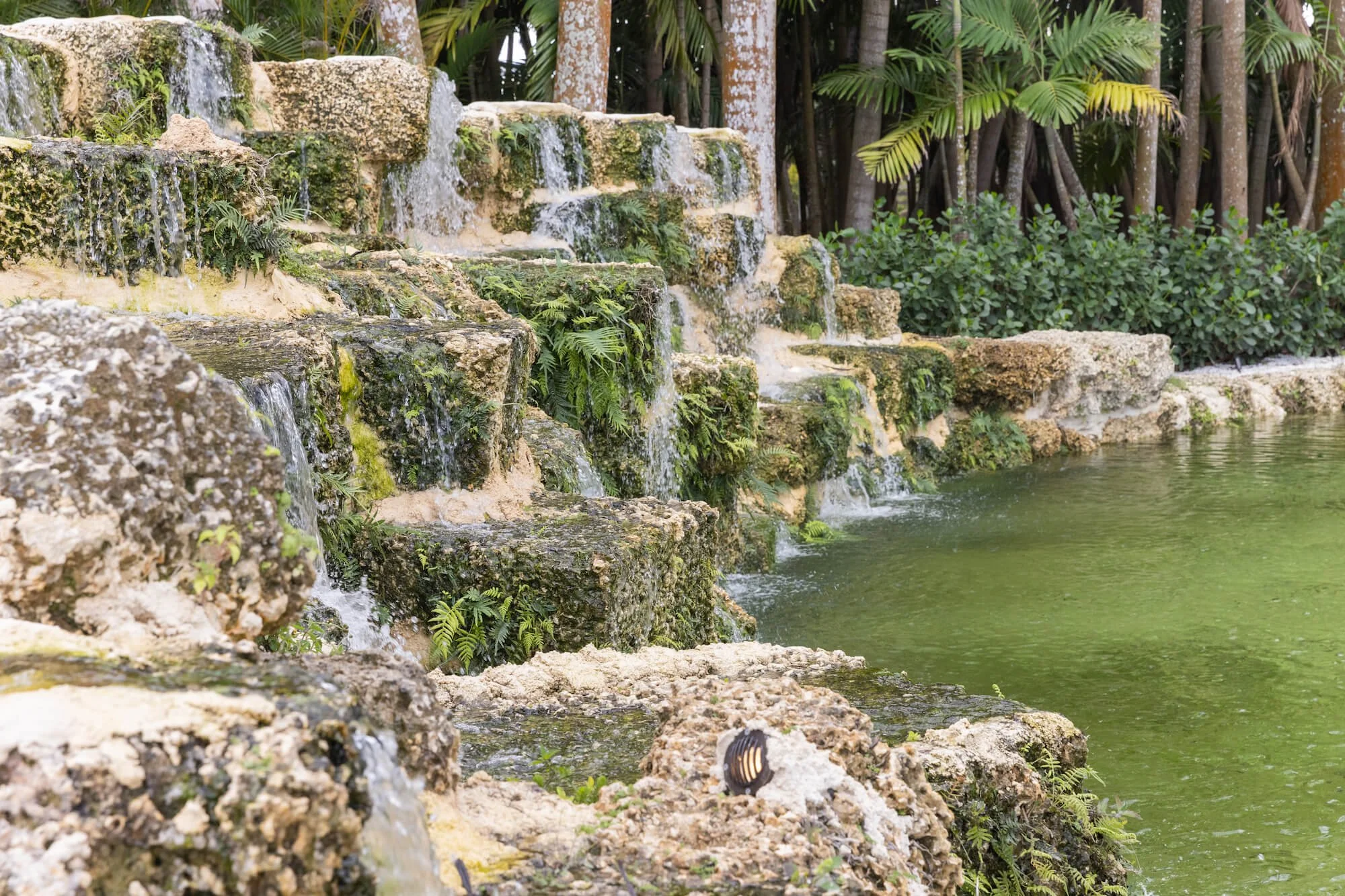Gran Paraiso Gardens Miami Wedding Venue | Luxury Weddings & Events