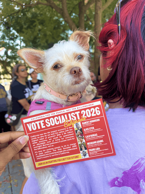 Meghann Adams for California State Controller