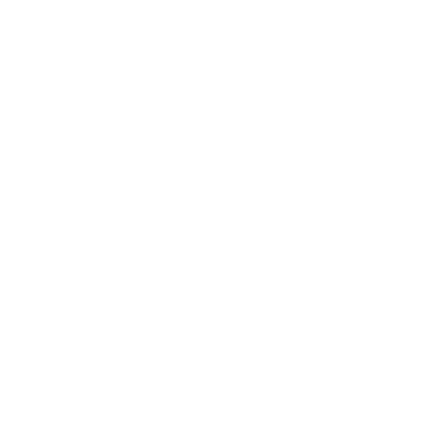 PS 295 Brooklyn | Join Our Learning Community Today