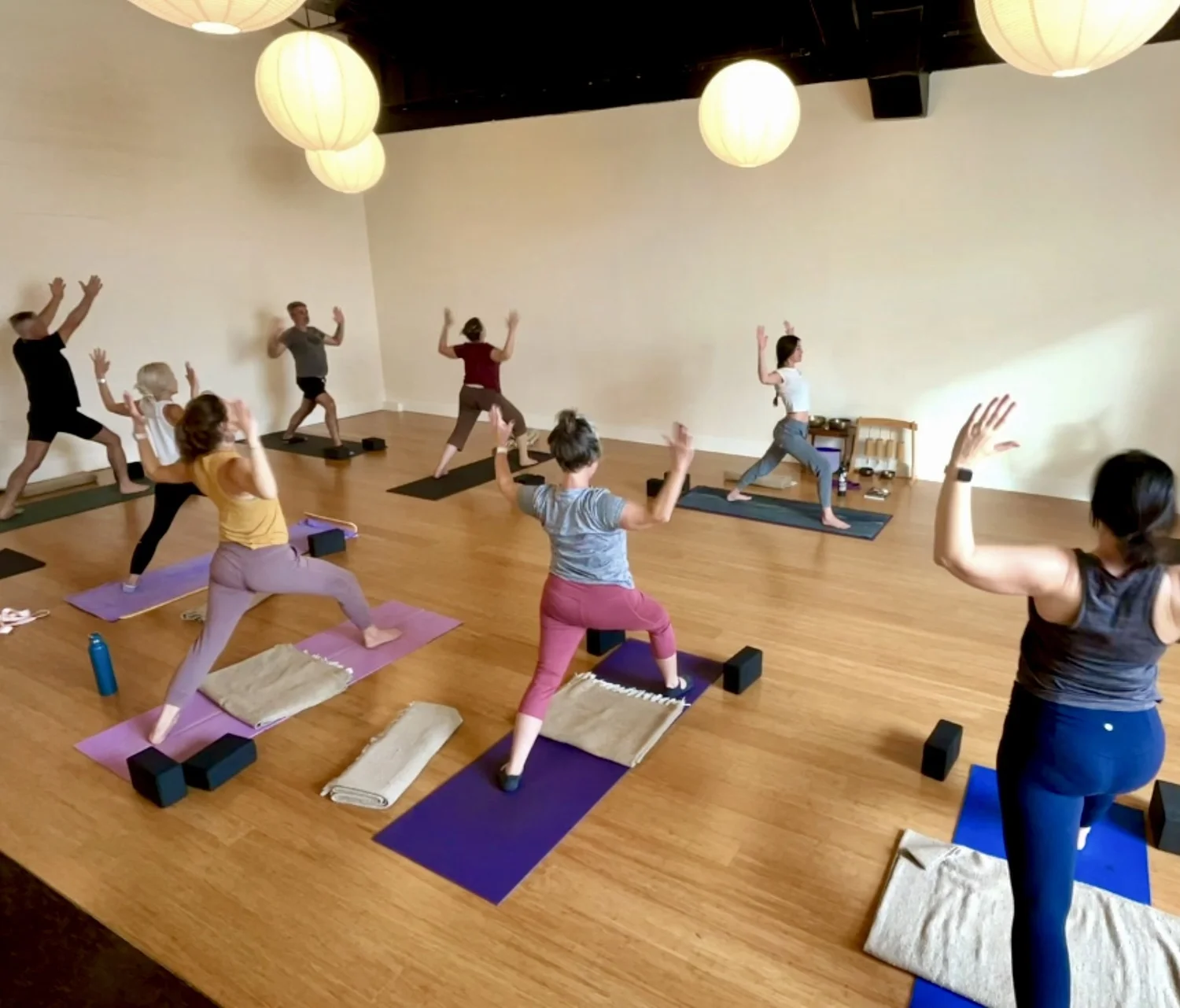 Bindu Yoga and Wellness | Discover Wellness Today