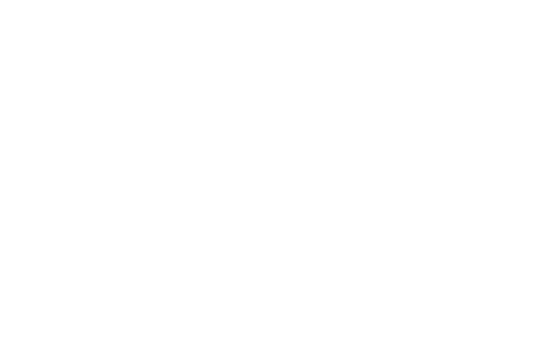 Capsule Holiday Homes