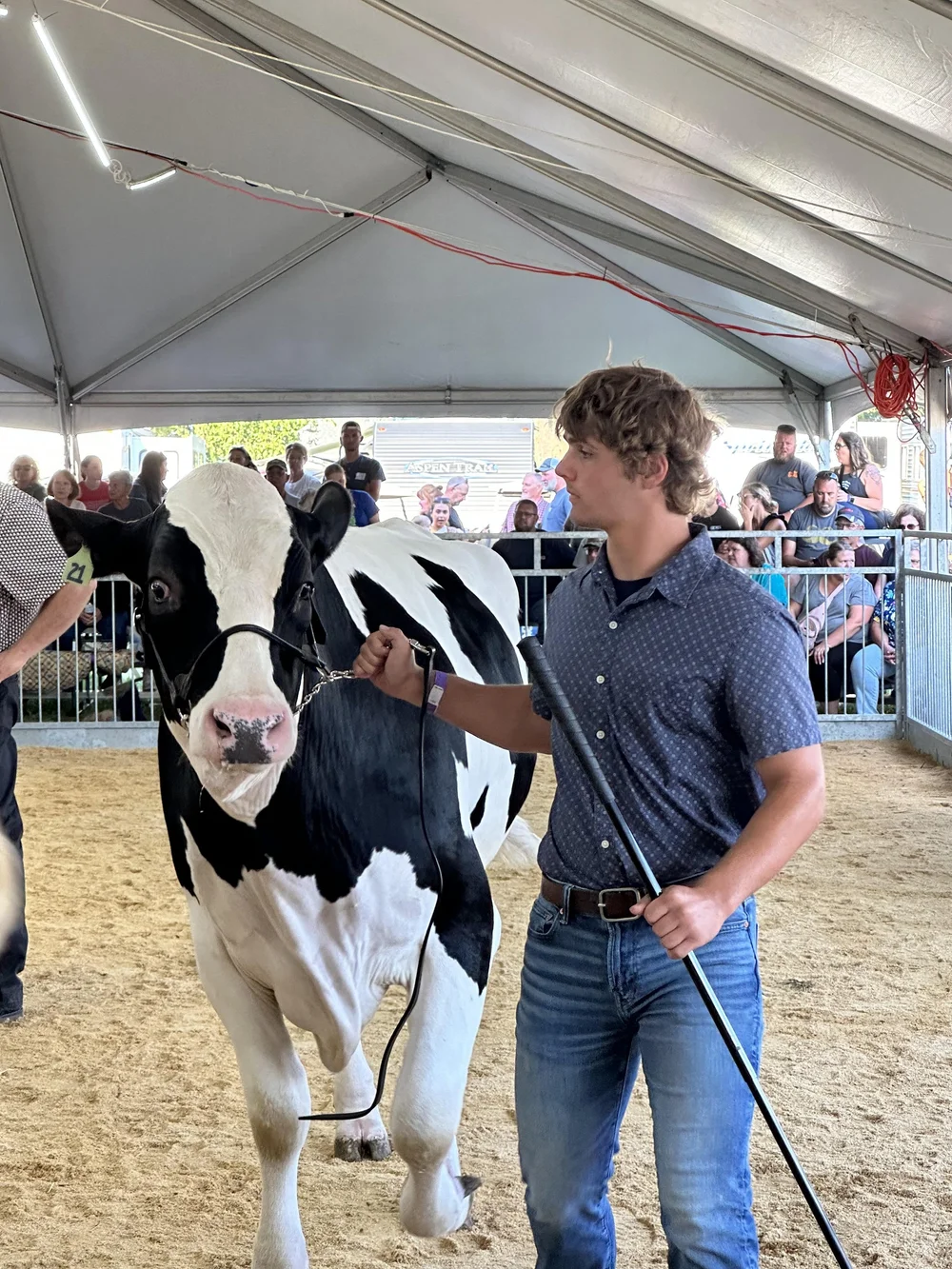 Henry County Fair — Henry County Fair