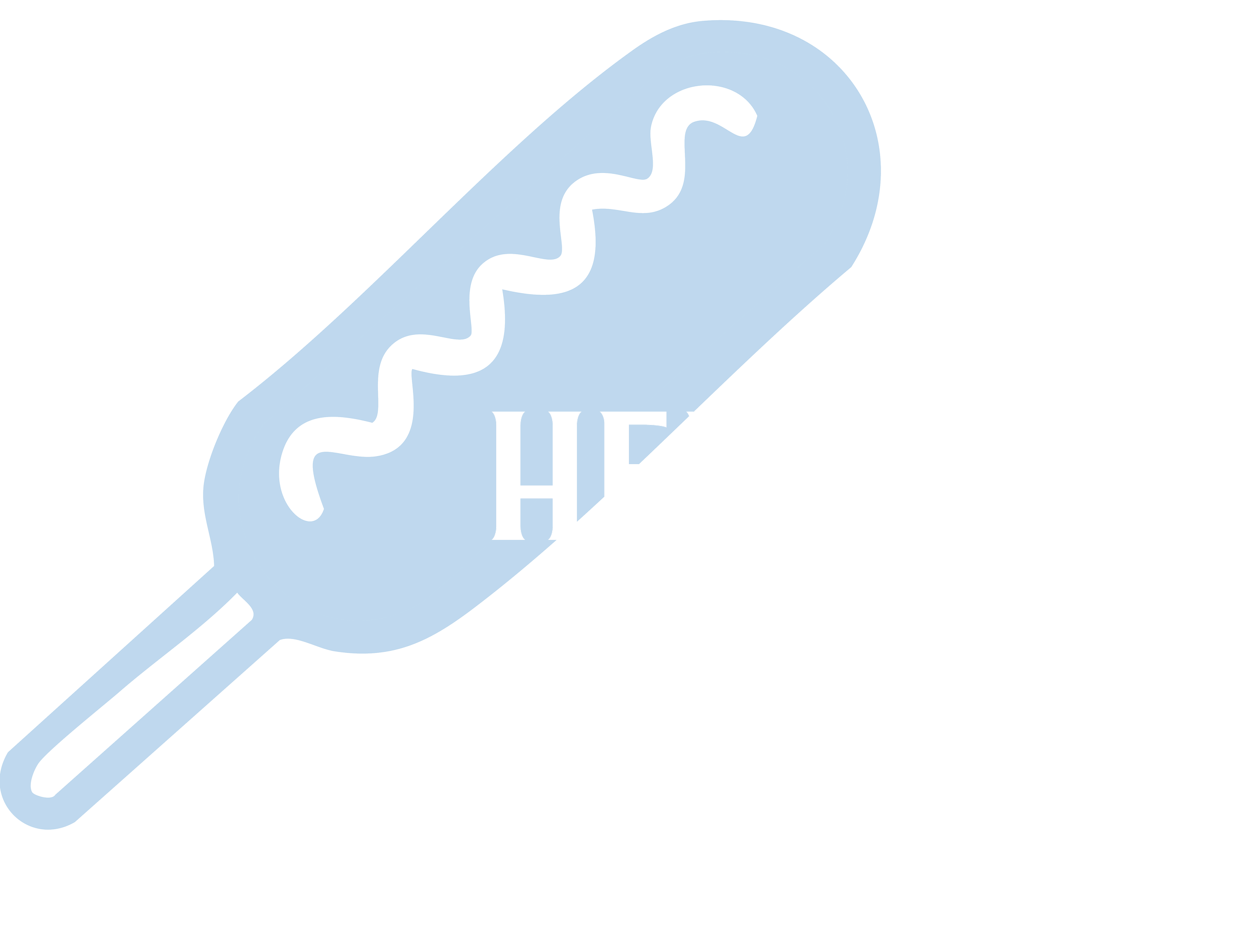 Henry County Fair — Henry County Fair