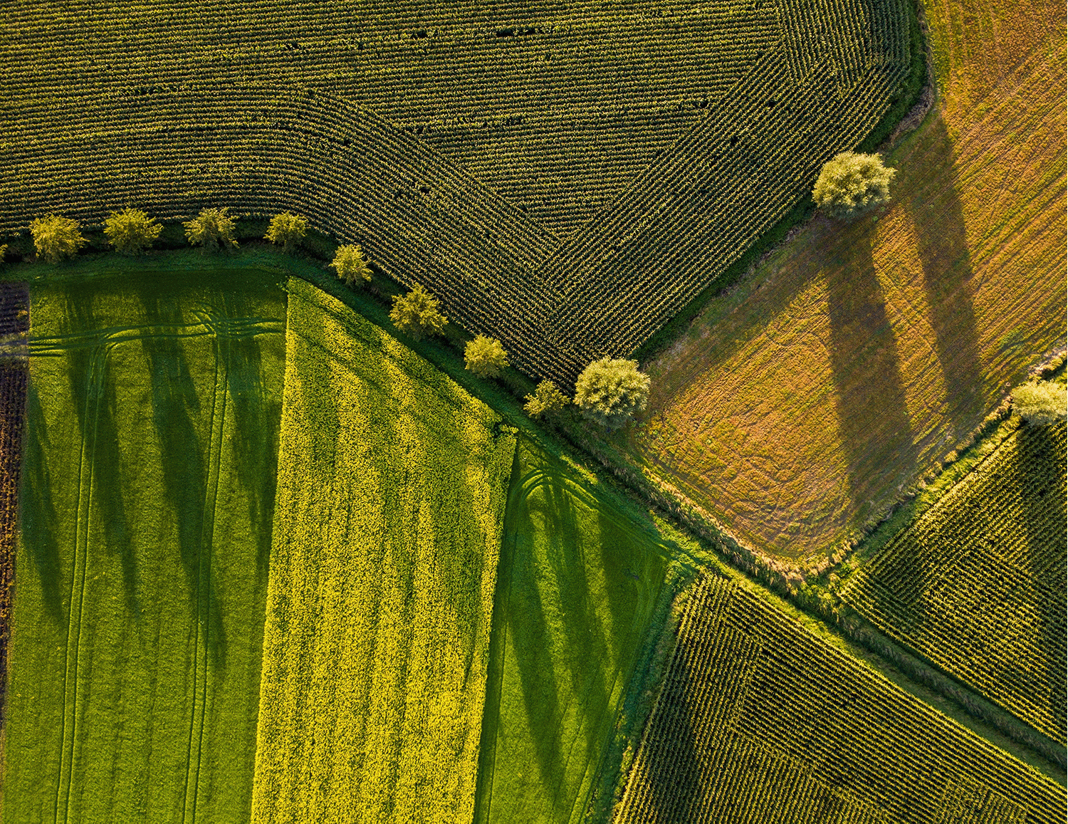 Proofing Station — Torana Group