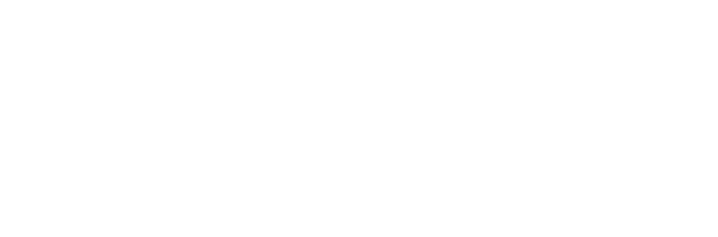 BRAINNÜSTUDIO architecture + design