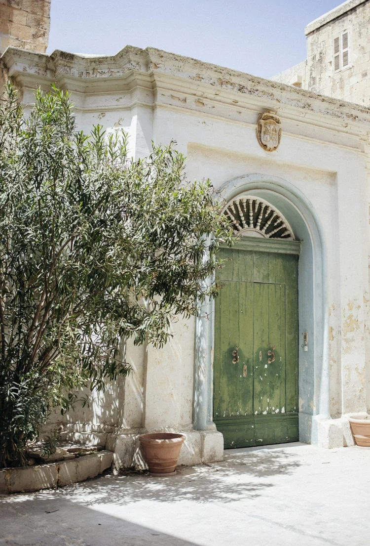 Olive Pit | Discover Delicious Mediterranean Flavors!
