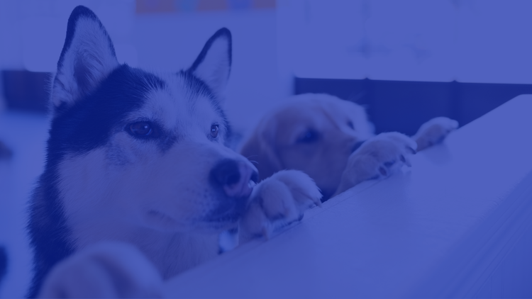 Wright Way Canine Center