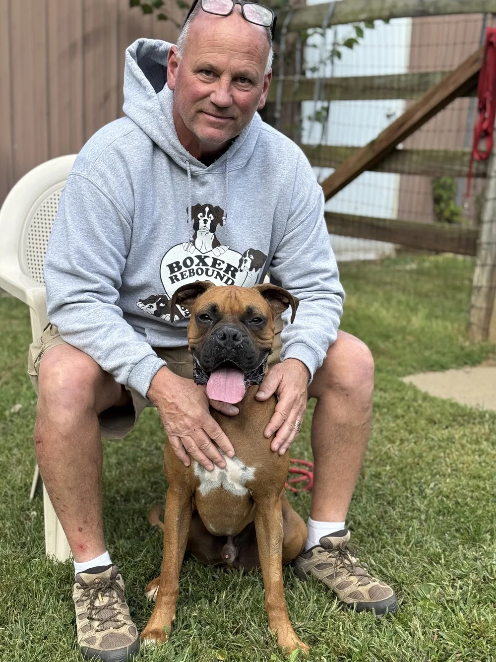 Adopt A Boxer — Boxer Rebound