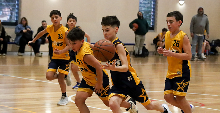 Stars Basketball Club