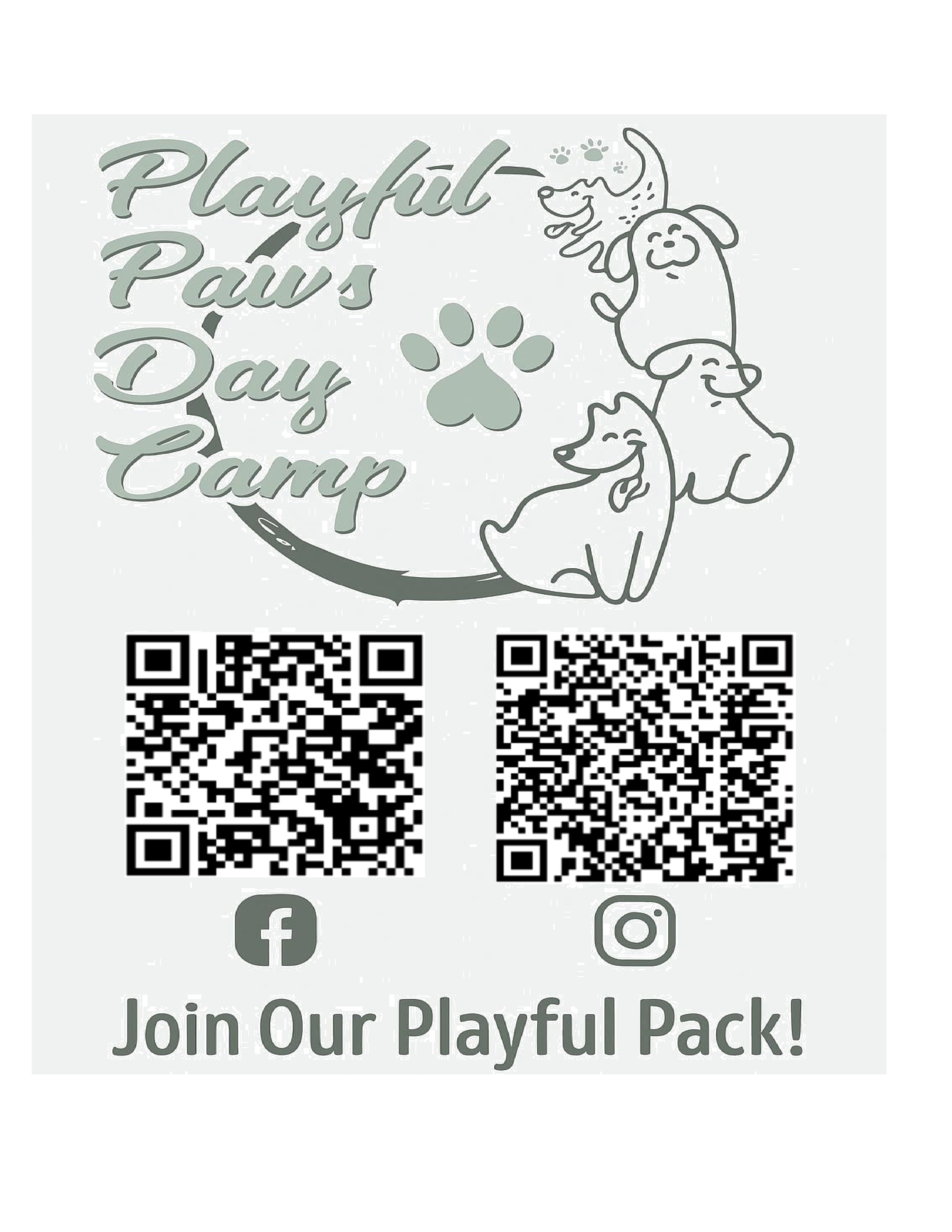 Playful Paws Day Camp | Join the Fun Today!