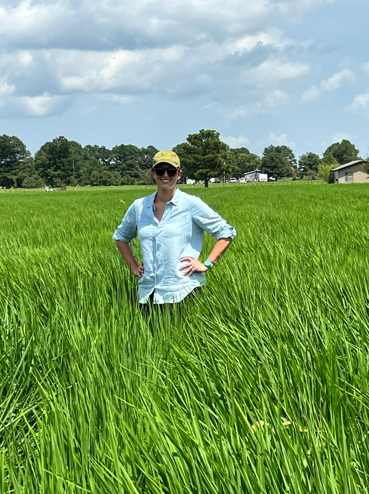 Meet Hallie | Support Arkansas Change Today — Hallie Shoffner for ...