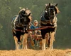 Draft Animal Power Network