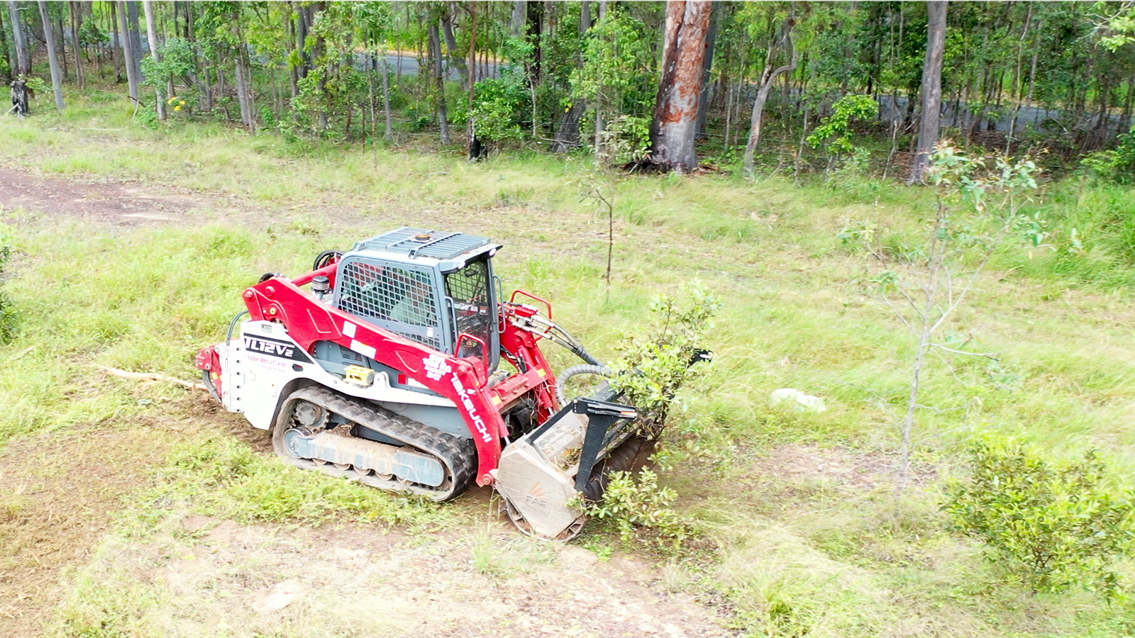 Lantana Taking Over? Stop It Before It Spreads | Forestry Mulching ...