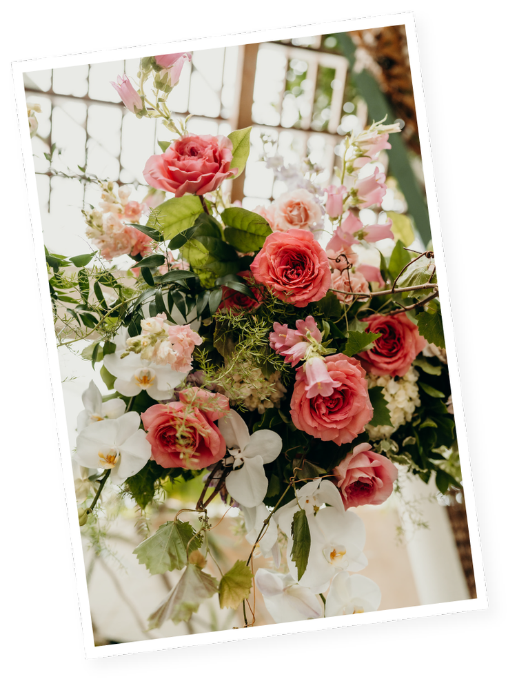 Little Dove Floral | Charlotte Wedding & Event Florist