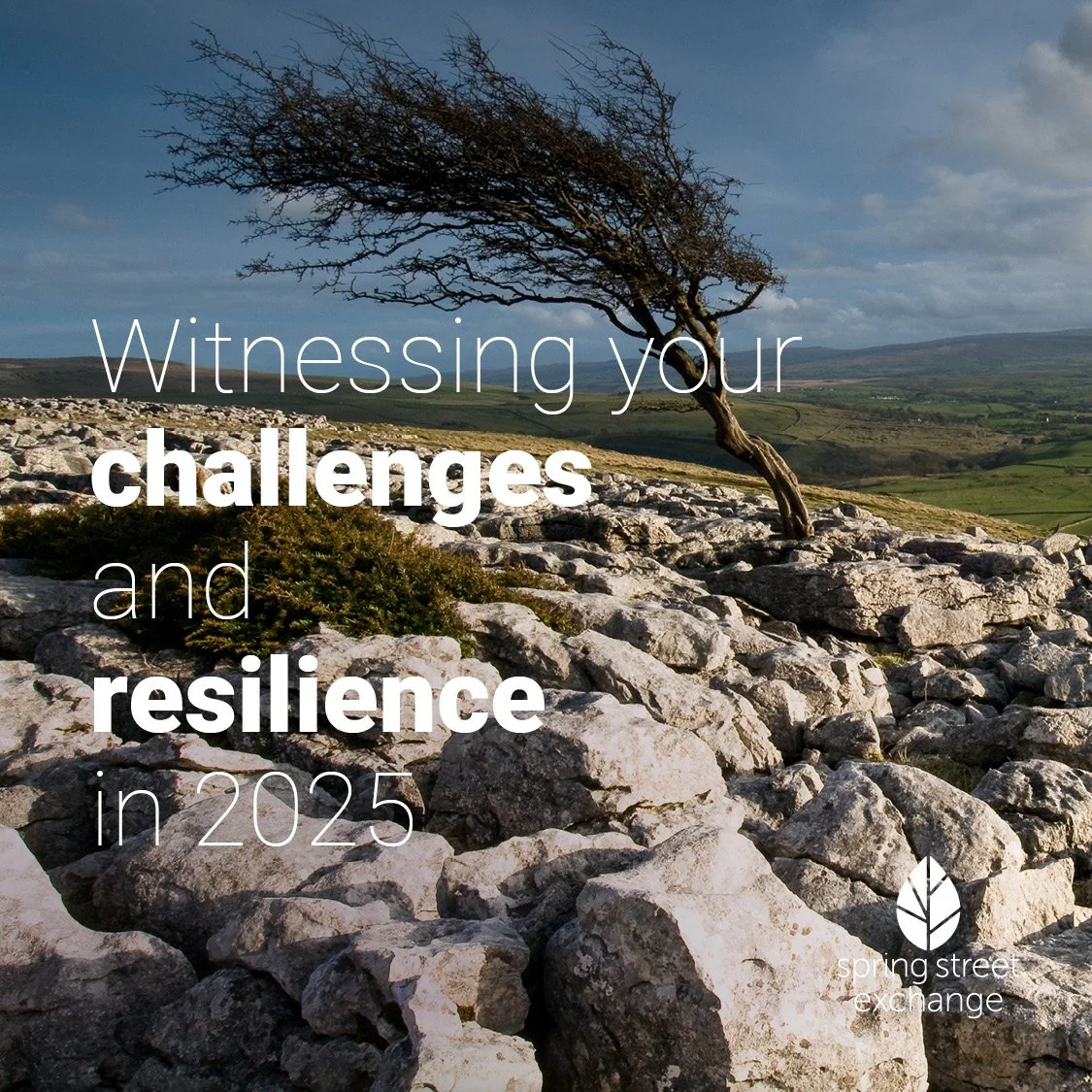 Challenges and Resilience — Spring Street Exchange