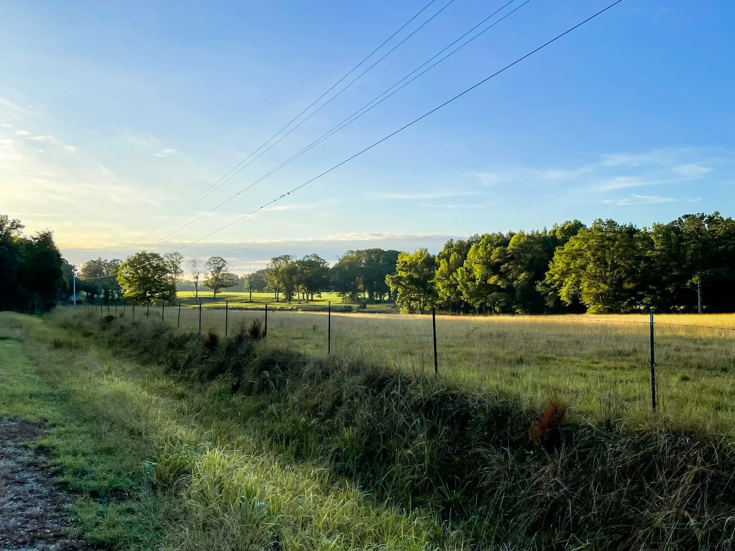 Doing Business | Business License Application — Town of Cusseta