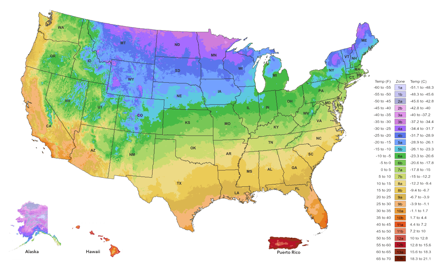 Hummingbird Flowers by Zone: The Best Blooms to Attract Hummingbirds in ...