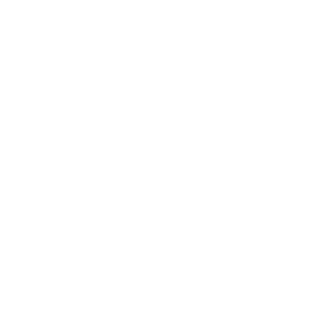 Lionwood Schools Partnerships