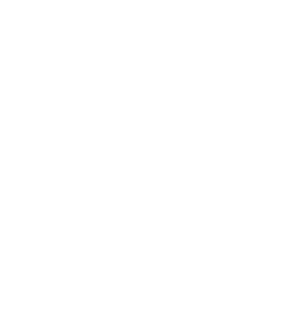 Lionwood Schools Partnerships