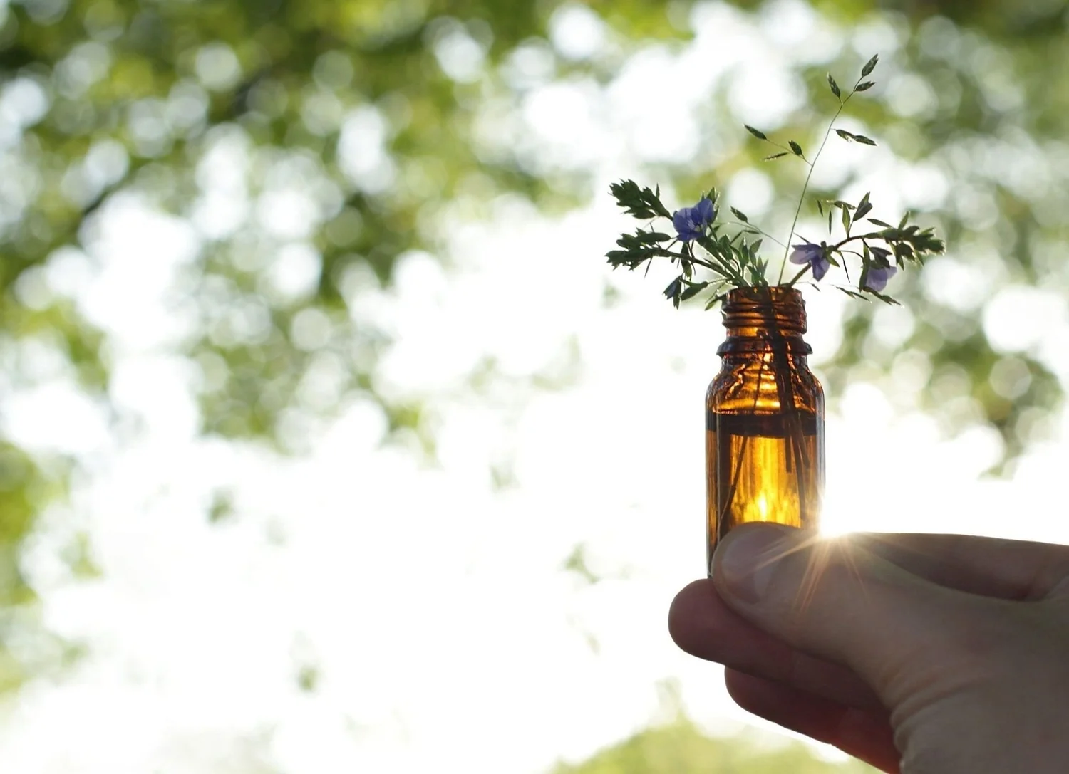 BioResource Inc | Enhance Your Practice Today