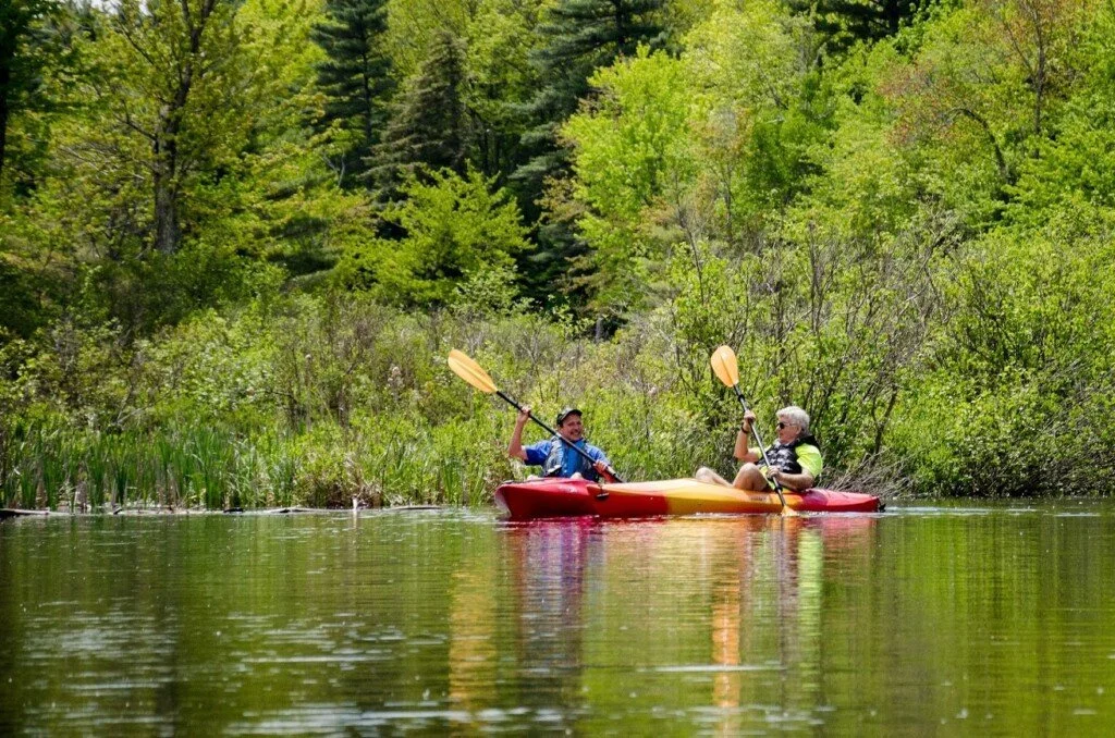 Branch River Conservation Area — Moose Mountains Regional Greenways