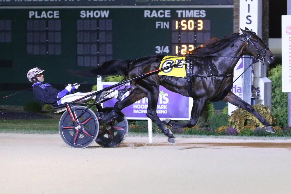 WINNERS BET - FROZEN — Yabby Dam Farms