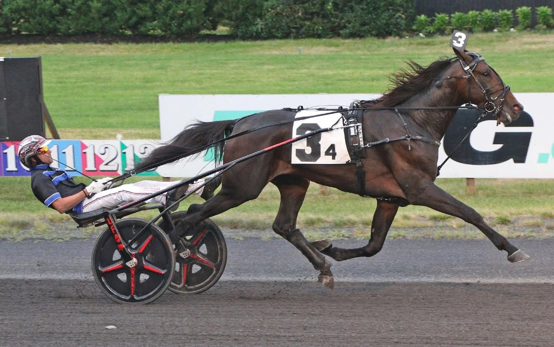 WINNERS BET - FROZEN — Yabby Dam Farms