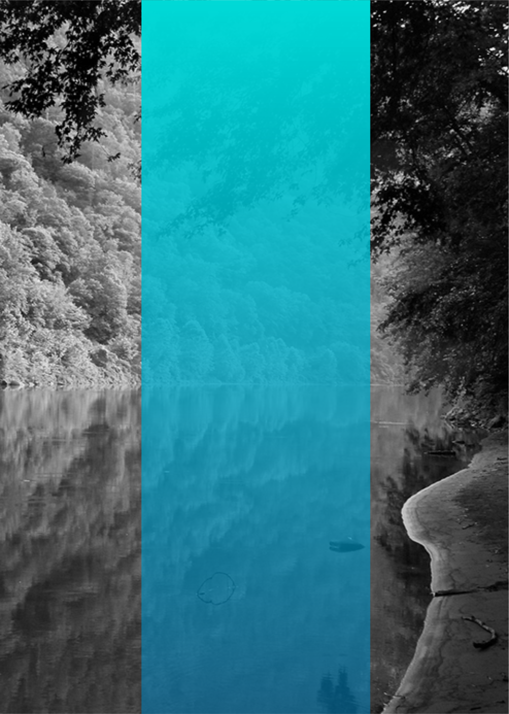 Water — WIN