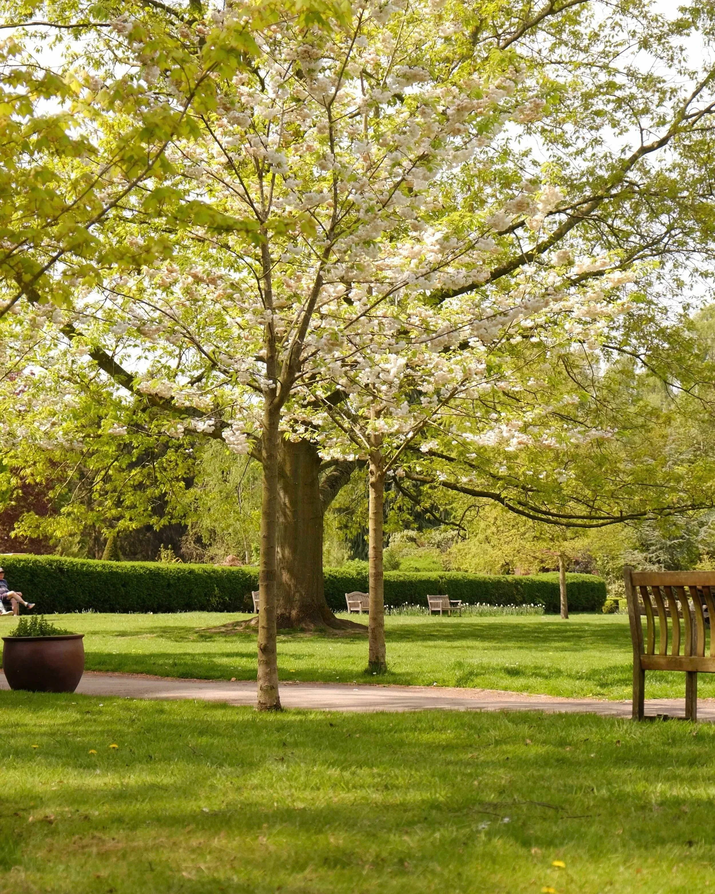 Homestead Park | Explore and Engage Today