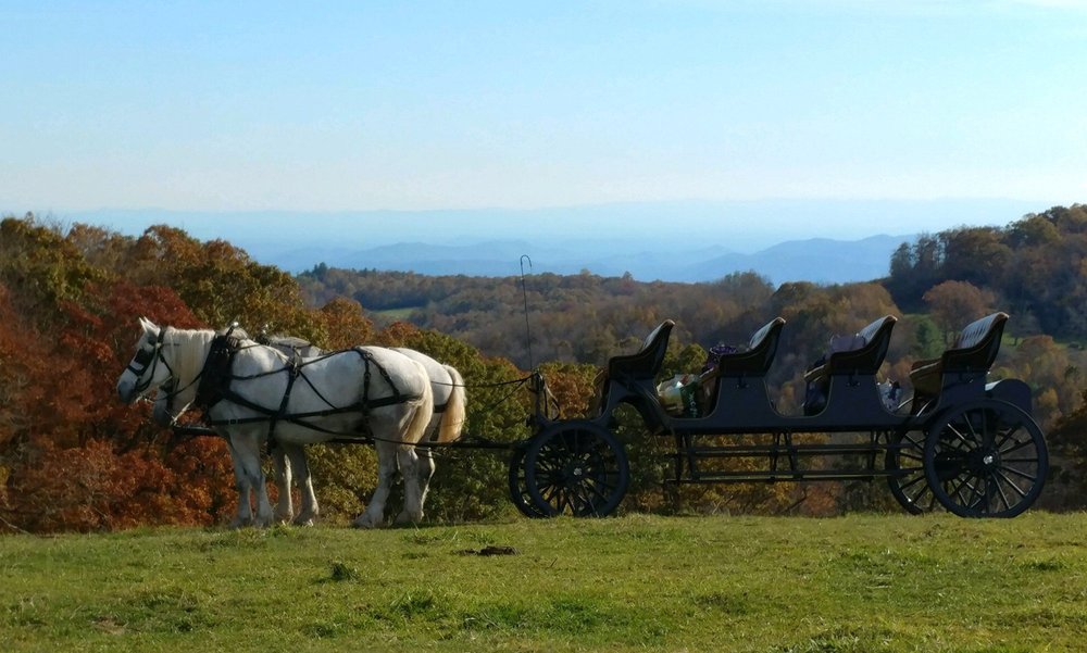Location — Carriage Run Carriage Service