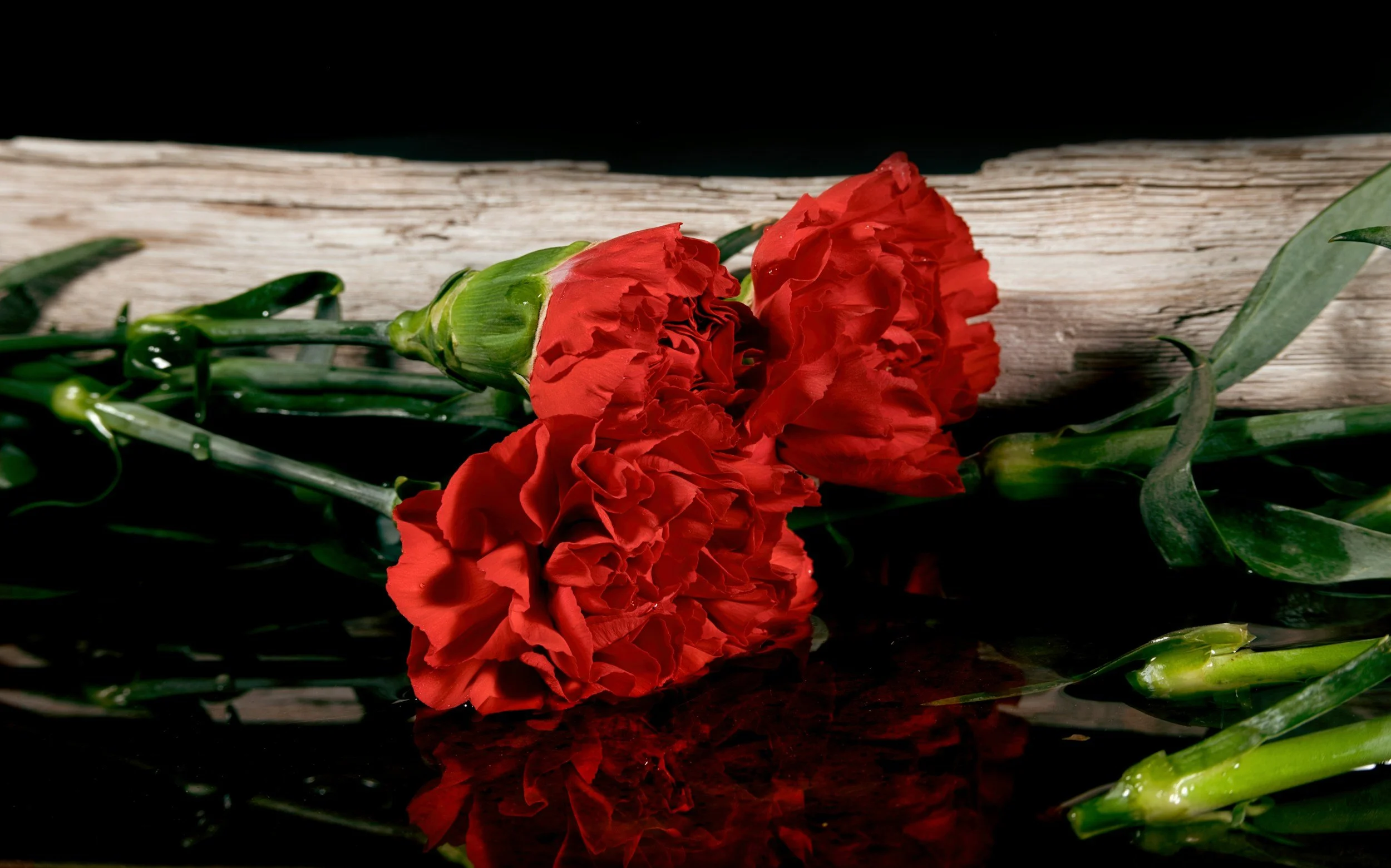 Recent Obituaries — Gilmore Funeral Home LLC