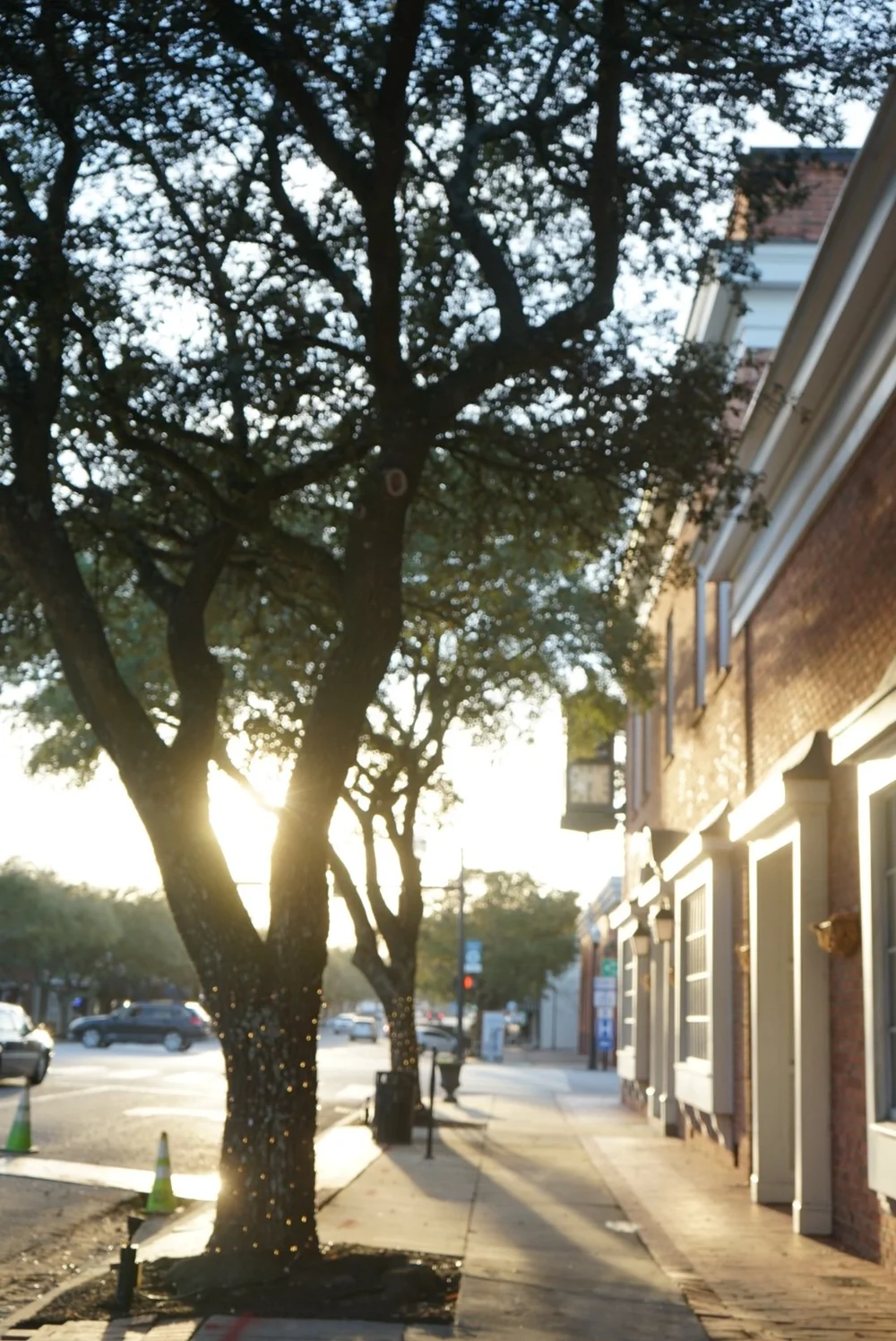 Main Street Hartsville, South Carolina | About Our Mission & Impact ...