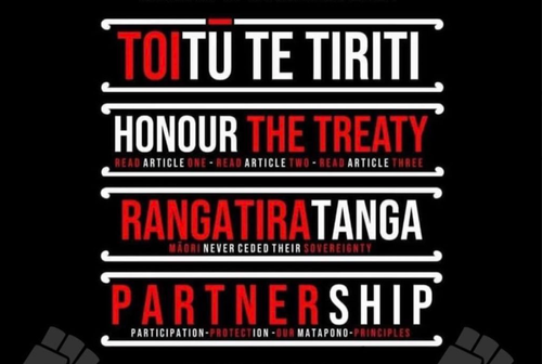 A guide to making a submission on the Treaty Principles Bill — Greg ...
