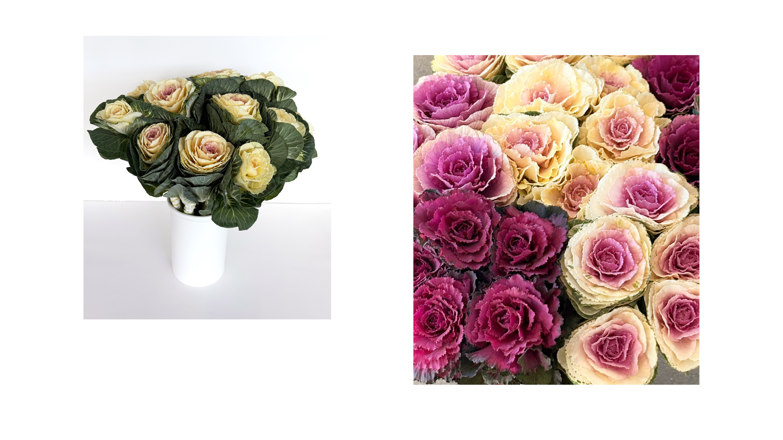 Designing with Depth — Flower HQ