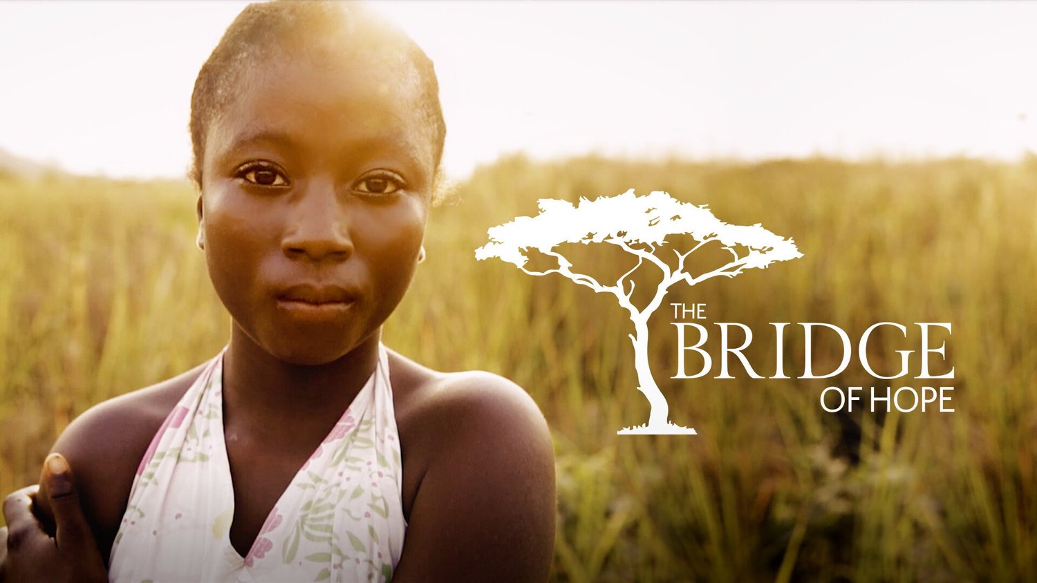 The Bridge of Hope