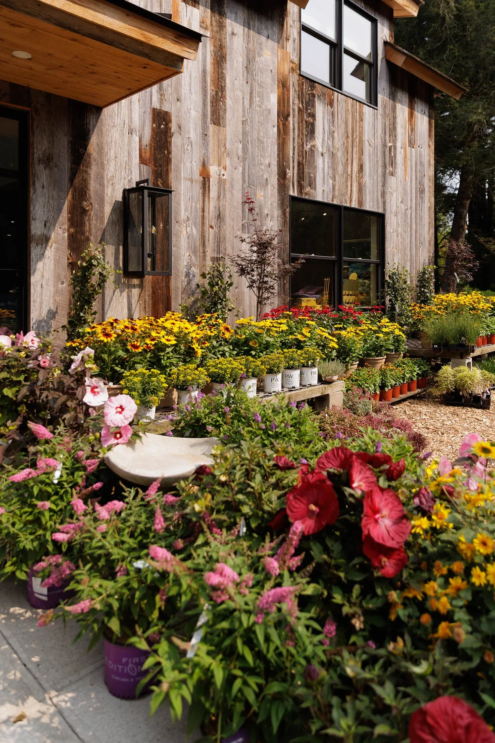 Bedford Farms