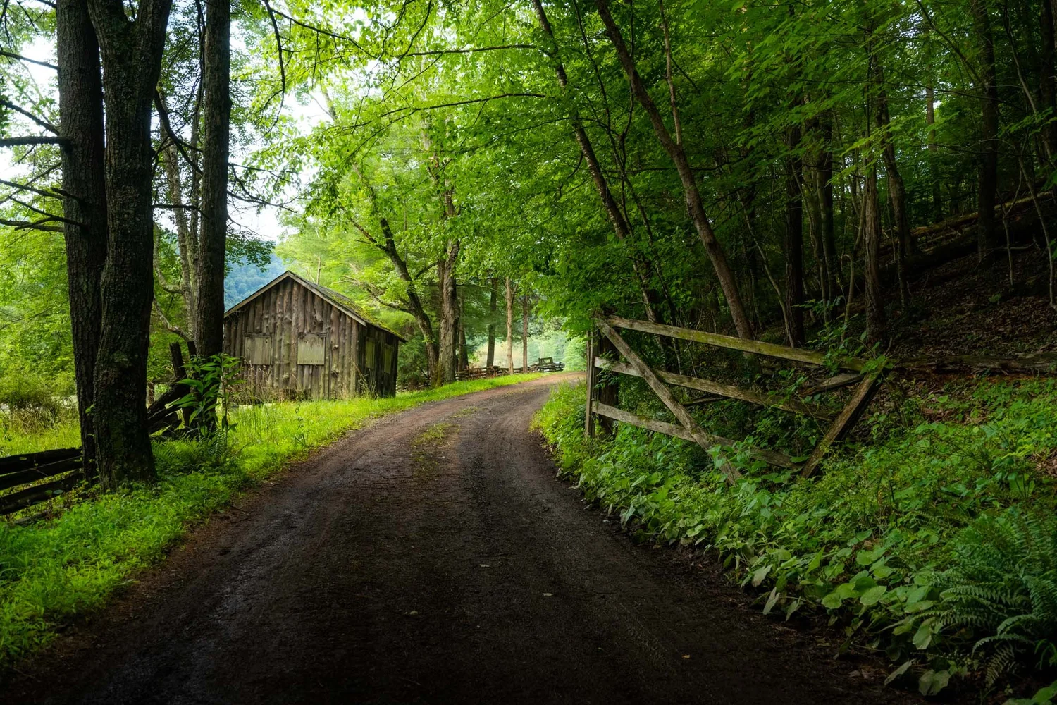 Future Campers | Your Guide to Camp Strawderman — Camp Strawderman