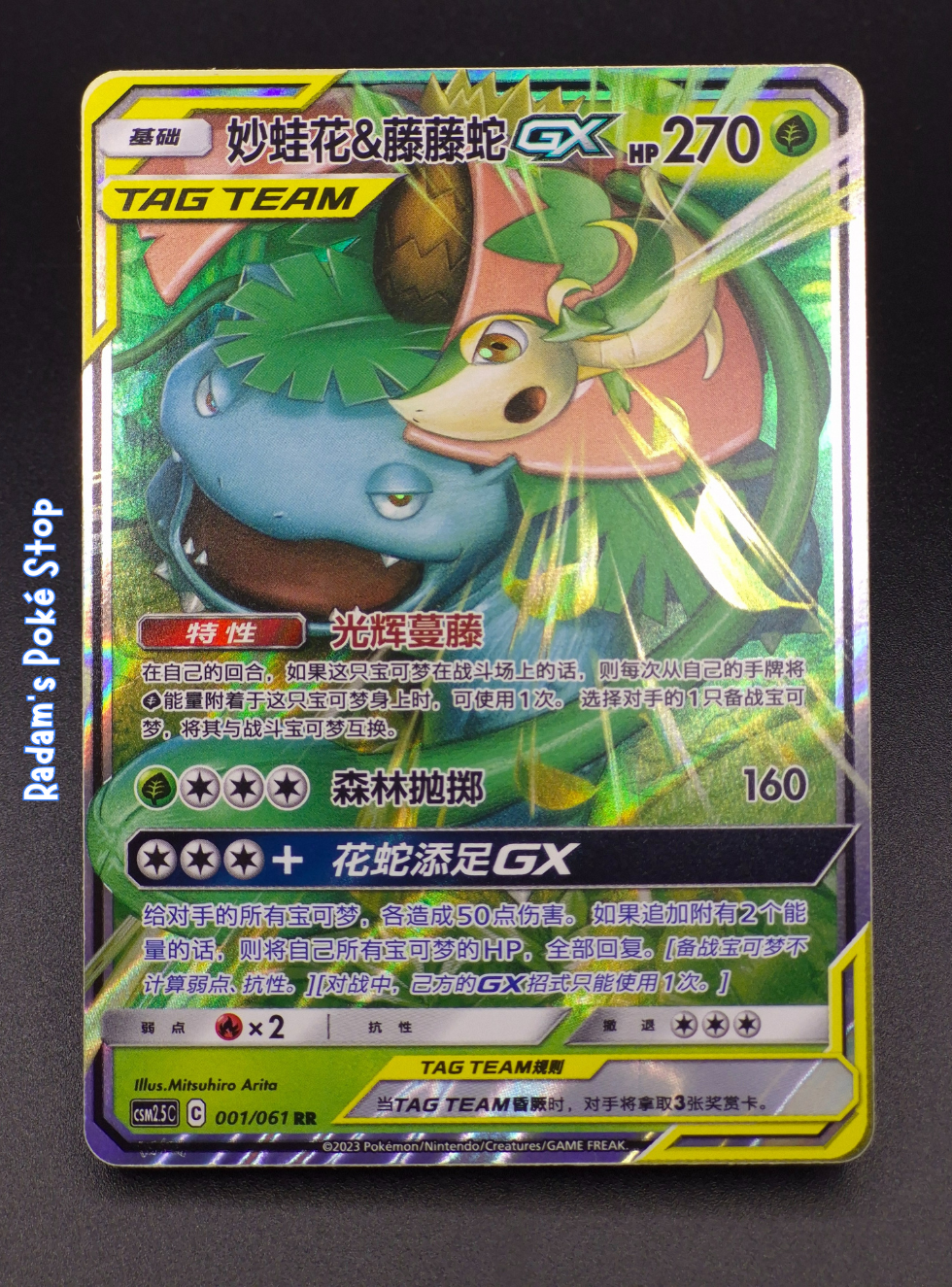 Venusaur & Snivy GX 001/061 in Simplified Chinese, csm2.5C, Regular ...